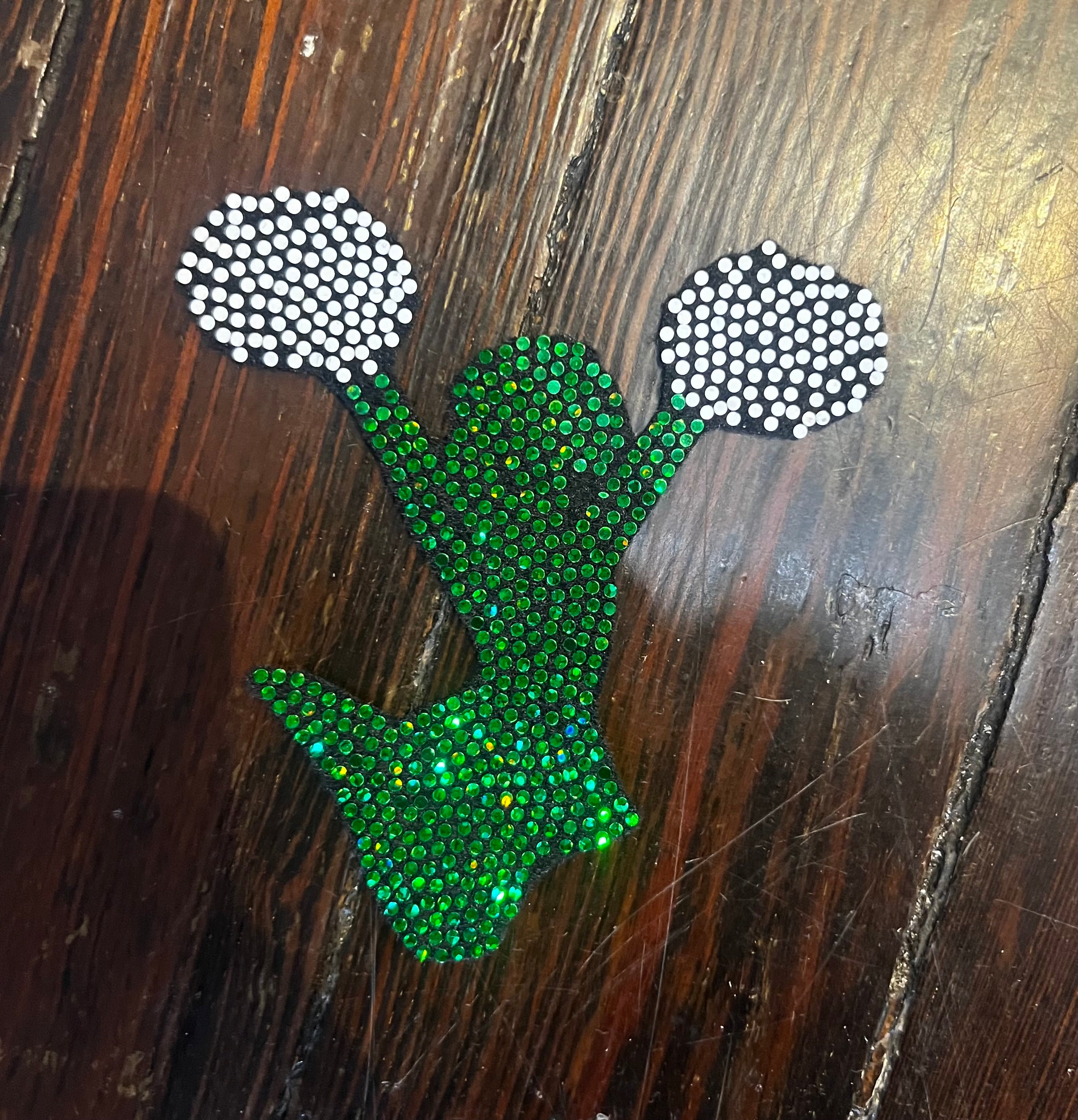 Cheer Leader BLING PATCH – PATCH PRINCESS